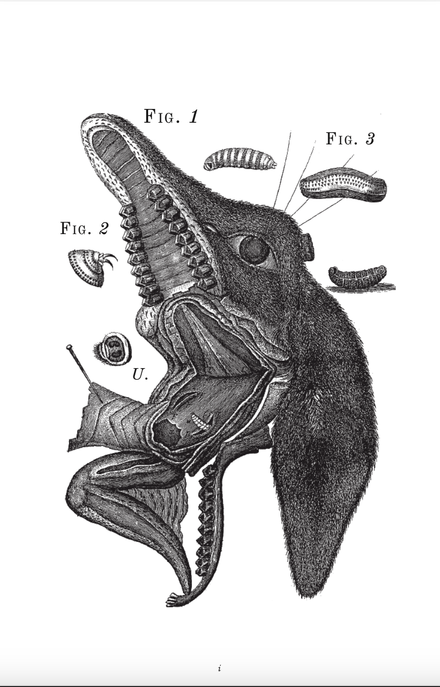 Culminating Work by CCA Students